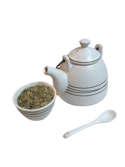 BREZA LIST | BIO KUTAK