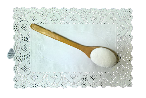 SOJIN ŠLAG POSNI | BIO KUTAK