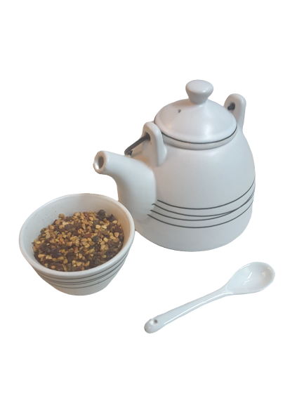 ŠIPAK PLOD | BIO KUTAK